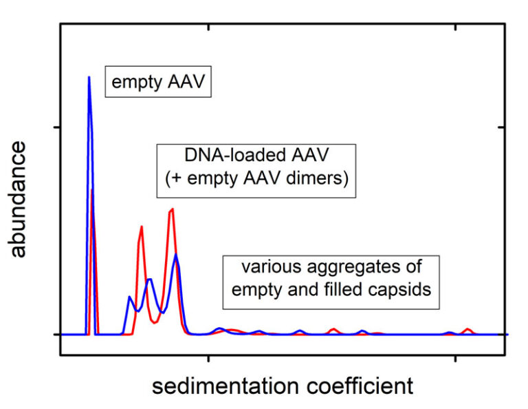 Viral Vectors | Capsids - NANOLYTICS